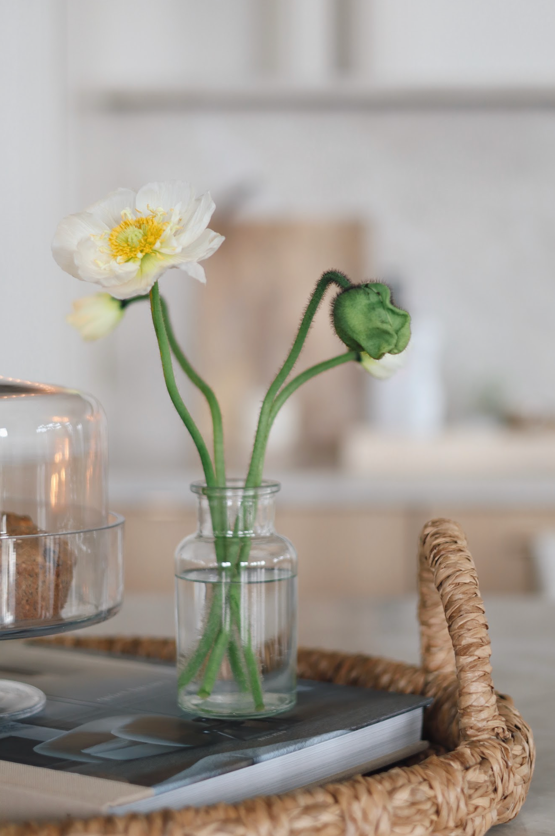 Reeve Petite Bud Vase | The Cross Living